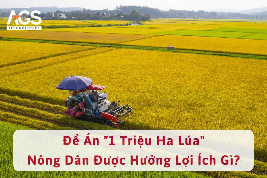 Đề Án "1 Triệu Ha Lúa" - Nông Dân Được Hưởng Lợi Ích Gì?